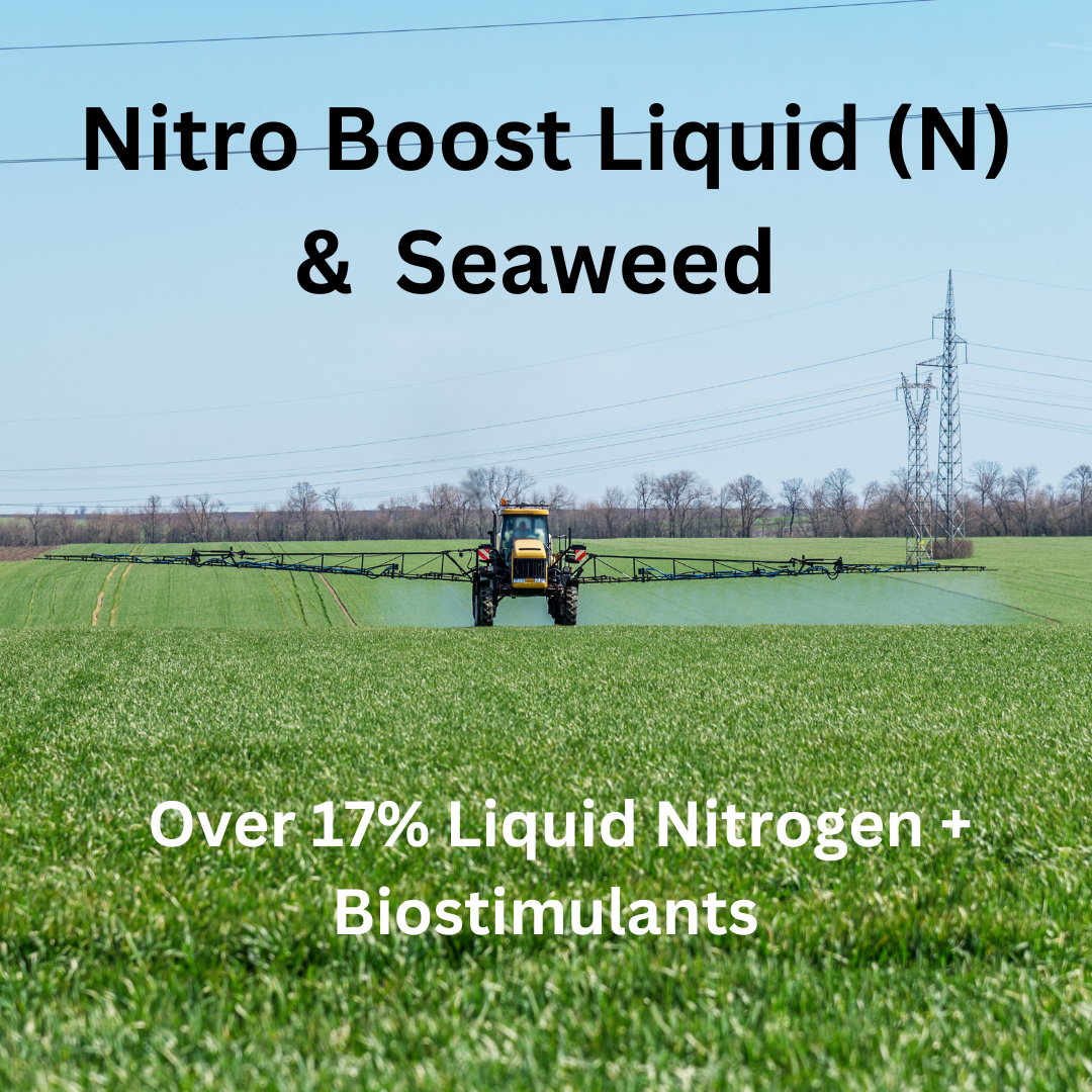 Nitro Boost & Seaweed Pack | Shop In Ireland